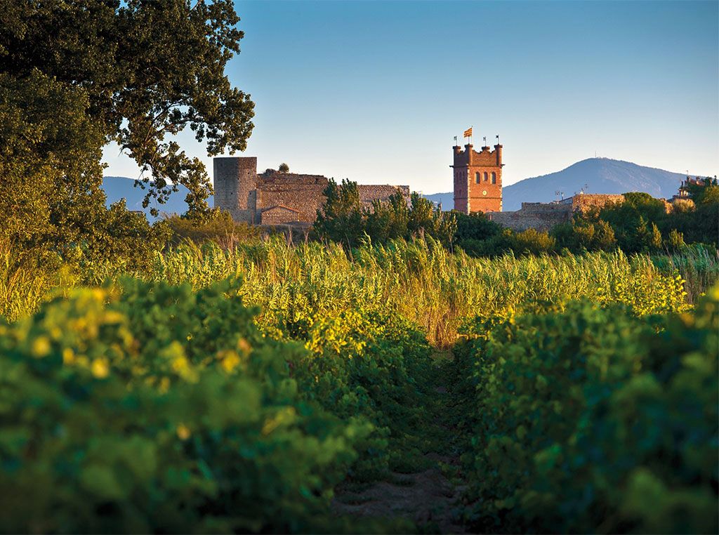 VINY'AQUI - Perpignan