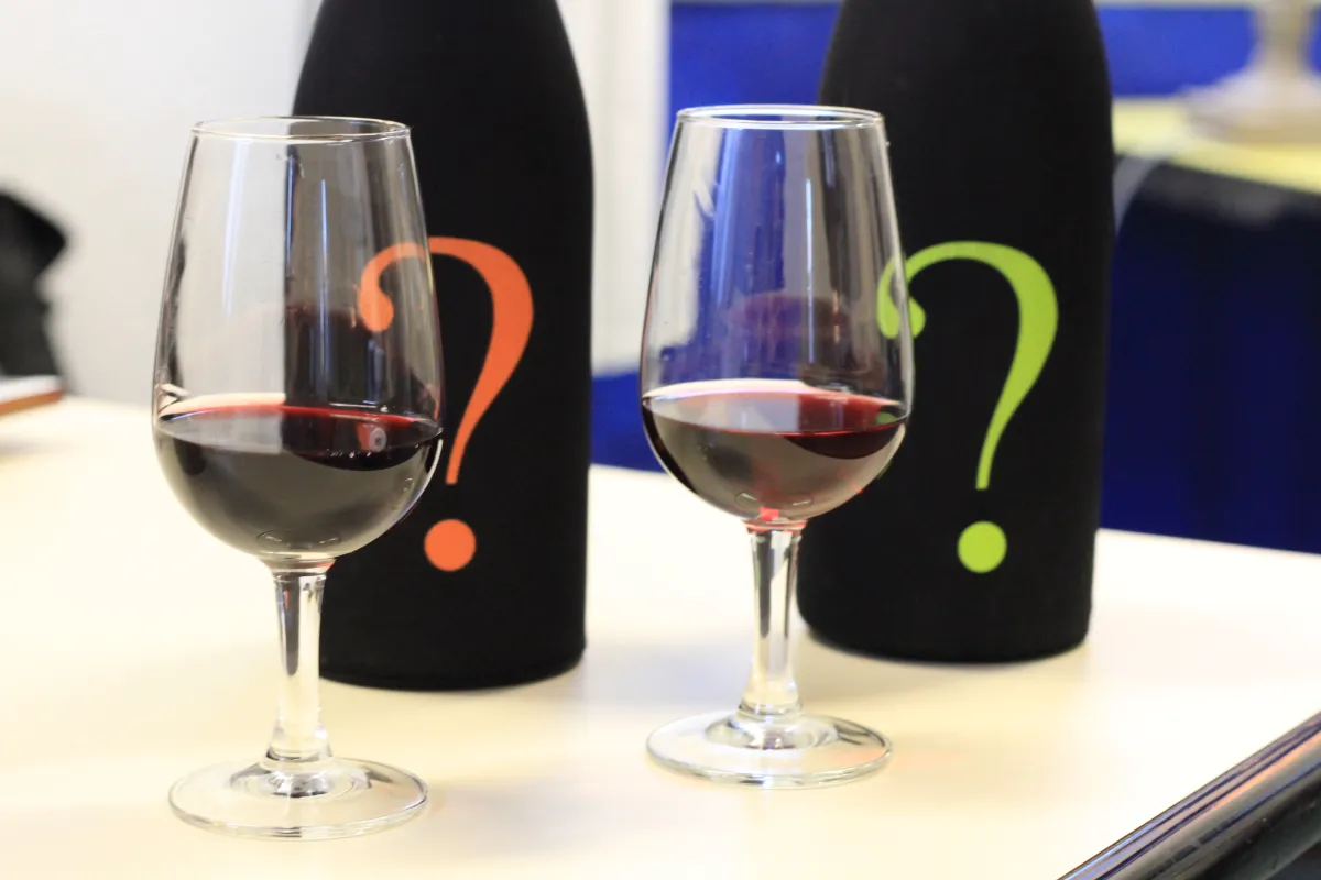 CATA A CIEGAS - Destino Perpiñán